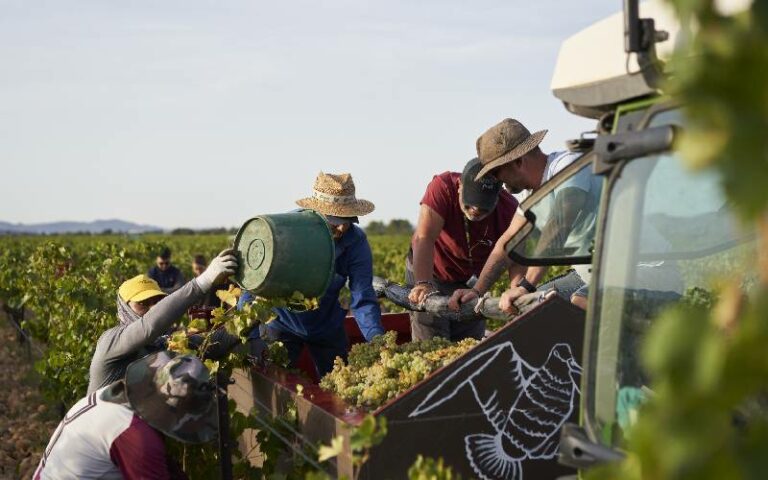 Iconic terroirs of Europe
