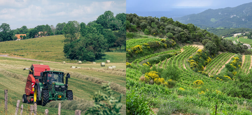 Terroirs — Iconic terroirs of Europe
